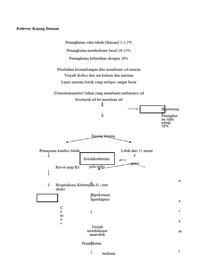 Pathway Kejang Demam | PDF