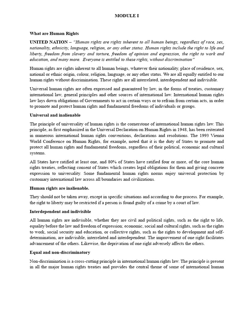 Understanding Human Rights Principles | PDF | International ...