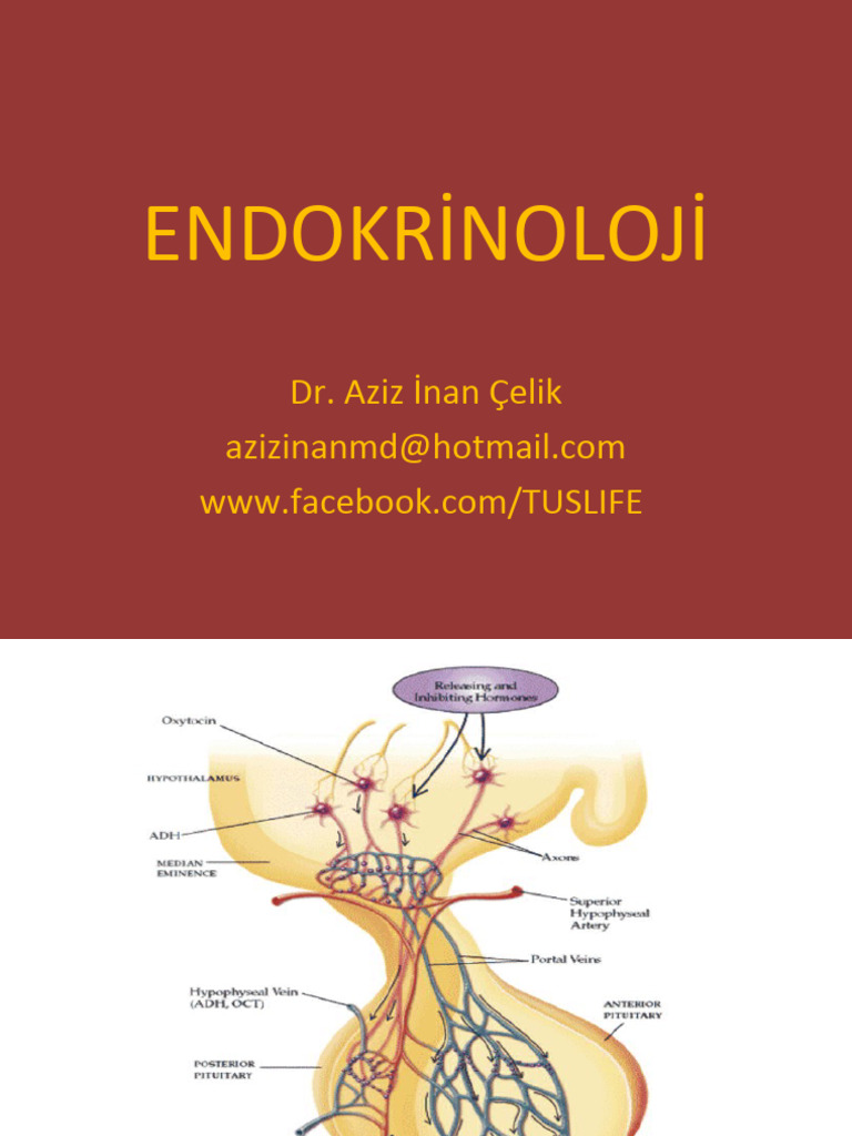 Endocrinology 3 | PDF