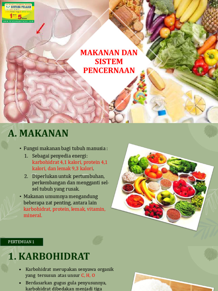 Bab 6. Sistem Pencernaan Kls 11-Fix (Layout) Ys | PDF