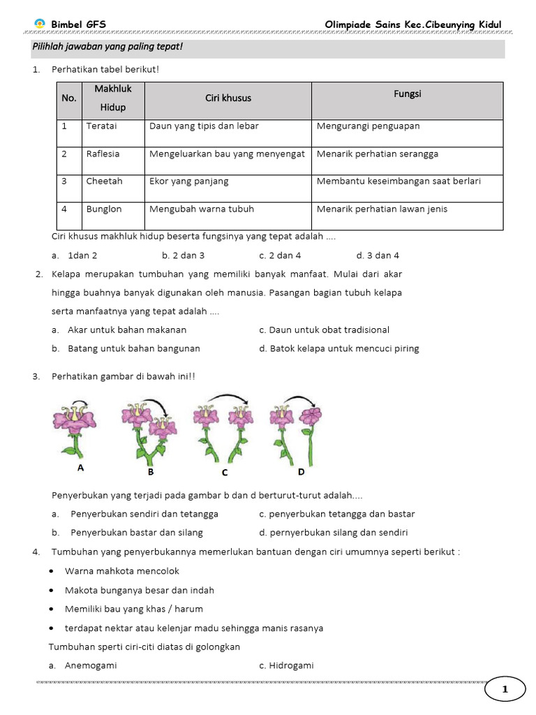 Soal Olimpiade SD Ipa Tahun 2023 | PDF