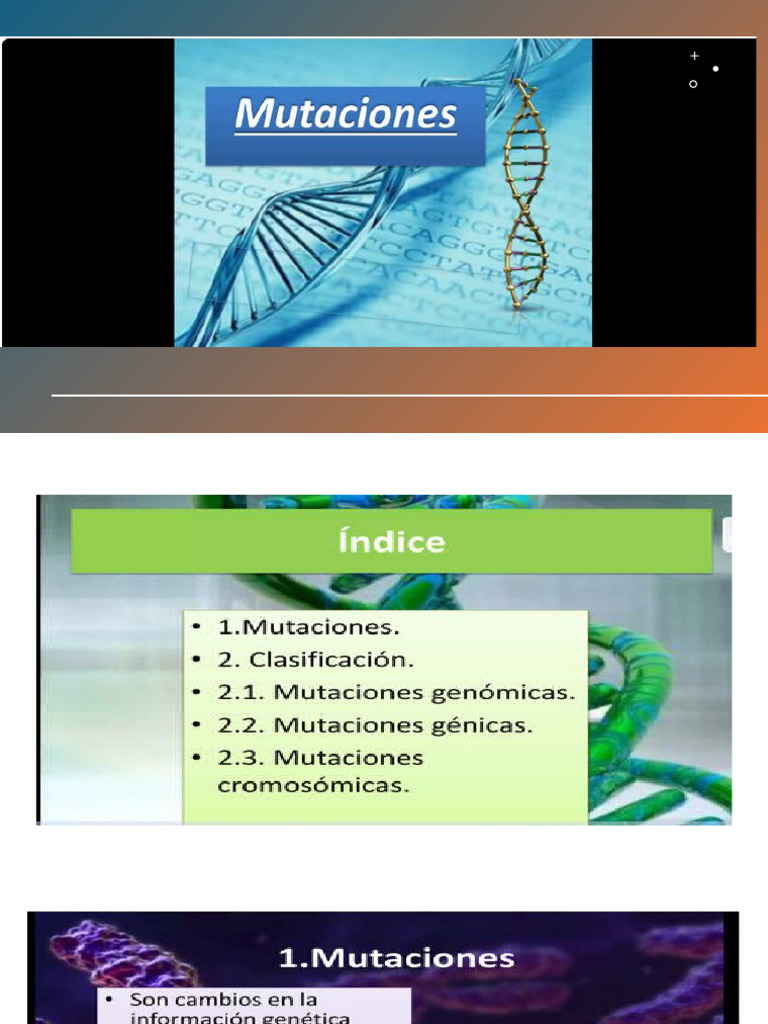 MUTACIONES | PDF