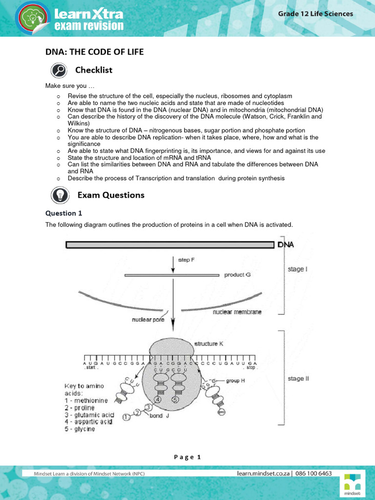 LXER - Gr12LifeSciences - DNA The Code of Life - Nov2014 | PDF ...