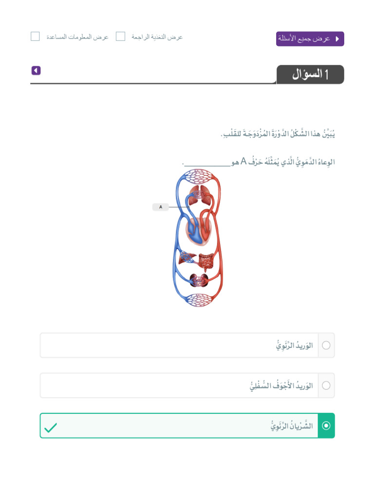 Circulatory System The Heart and Blood Circulation | PDF