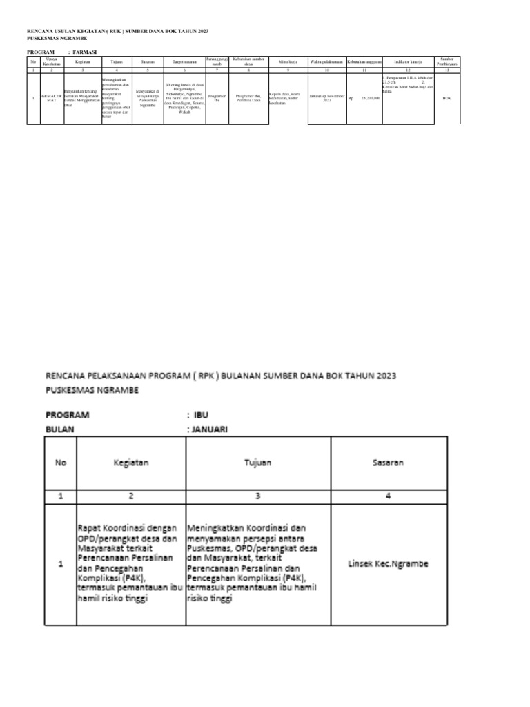Contoh Ruk Dan RPK | PDF