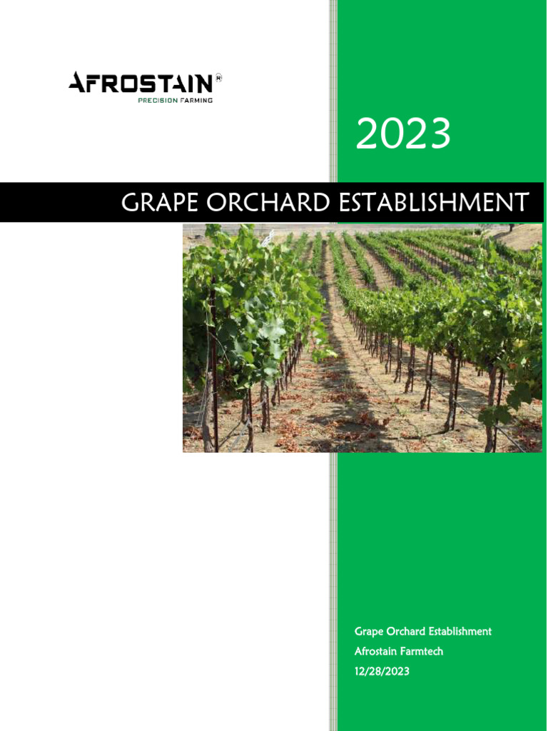 Grape Orchard Establishment Guide | PDF | Soil | Plants