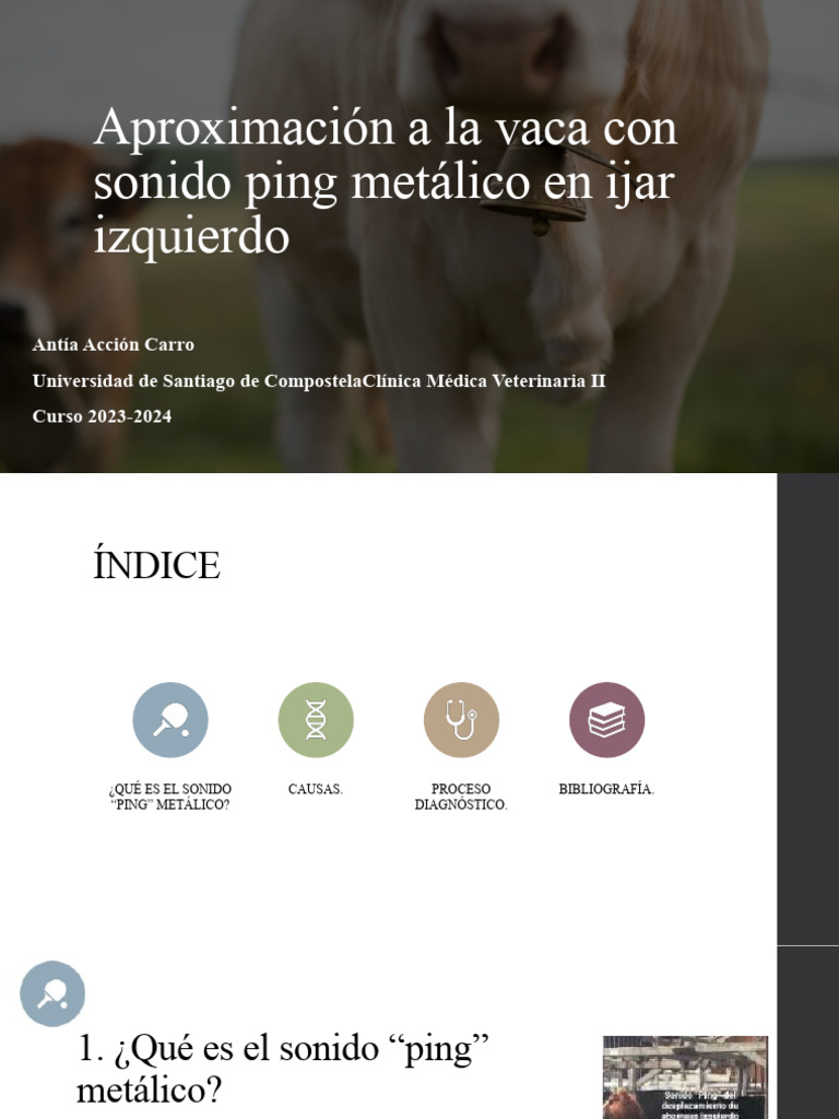 Diagnostico Diferencial Sonido Ping Metalico en Ijar Izquierdo | PDF