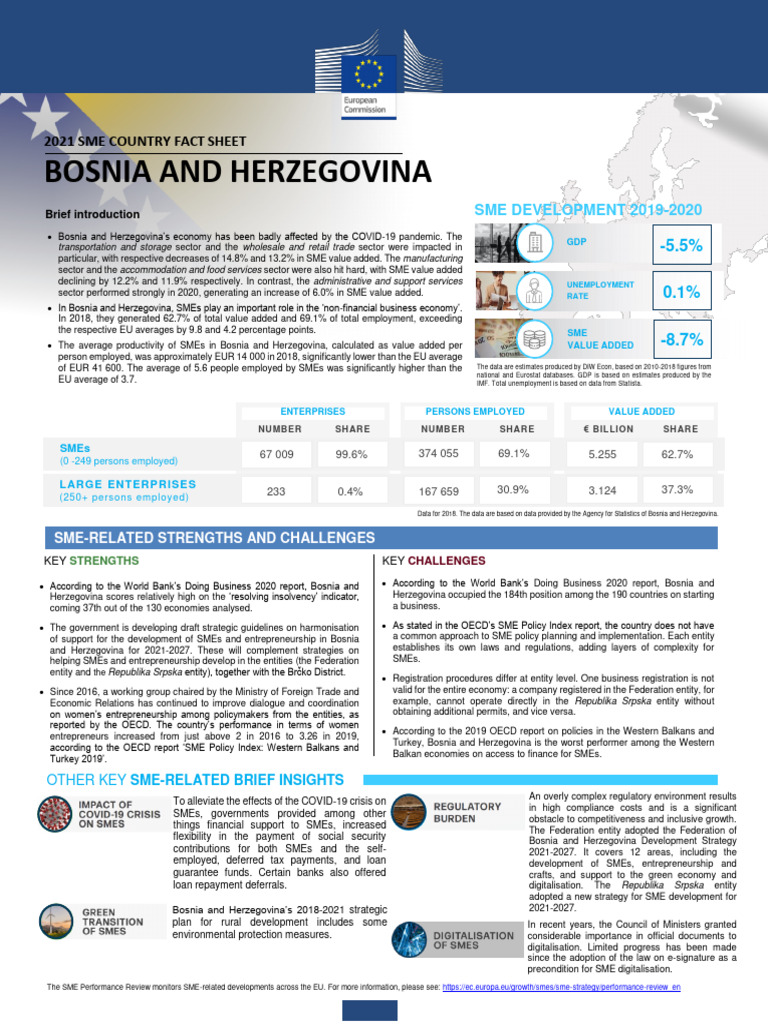 Bosnia Bih - Sme Fact Sheet 2021 | PDF | Small And Medium Sized ...