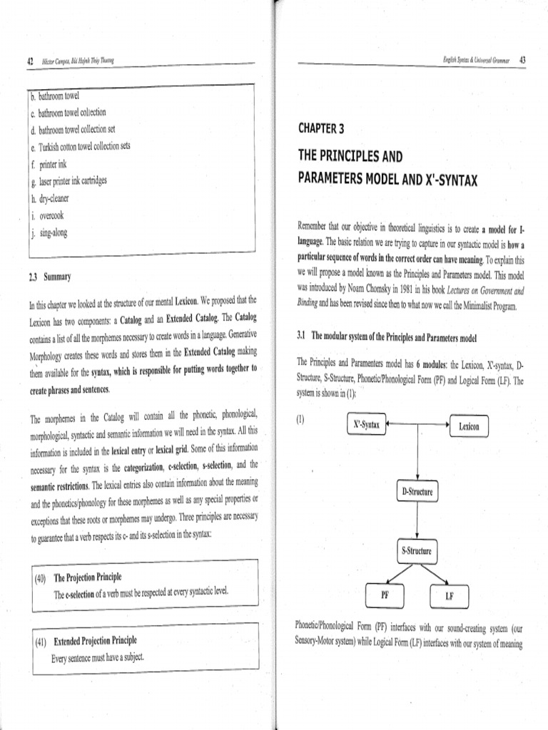 File Syntax - Photo - Phrases | PDF