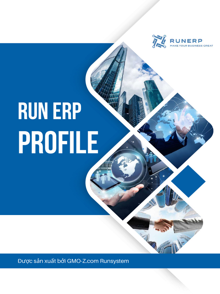 PROFILE ERP - UPDATE - Compressed | PDF