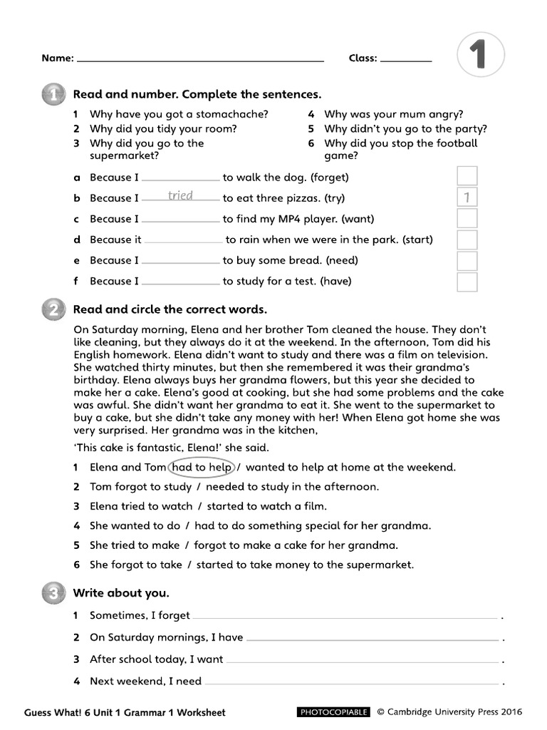 Grammar Unit 1 | PDF