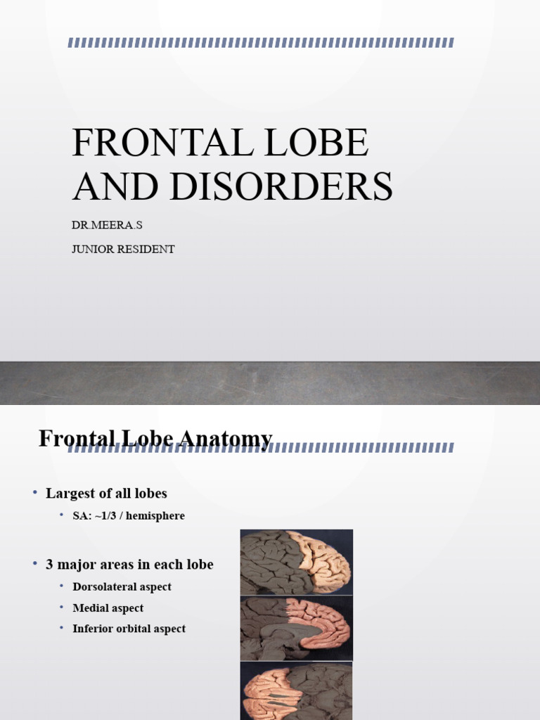 Frontal Lobe and Disorders | PDF | Cerebral Cortex | Frontal Lobe