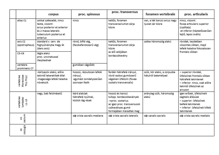 Csigolyak Tablazat | PDF