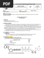 GenBio 1 Lesson 1 ATP and ADP Cycle | PDF | Adenosine Triphosphate | Adenosine Diphosphate
