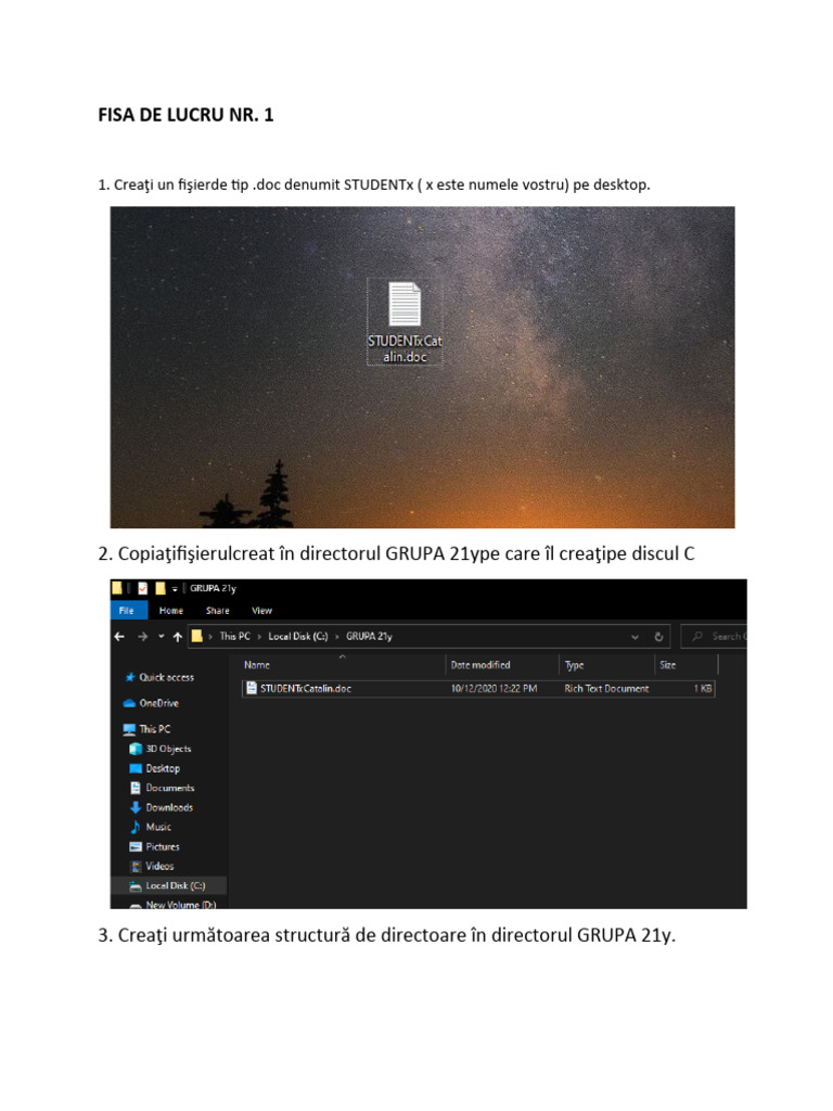 Fisa de Lucru nr.1 | PDF
