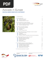 Avocado Stages of Ripeness Chart | PDF | Avocado | Edible Fruits