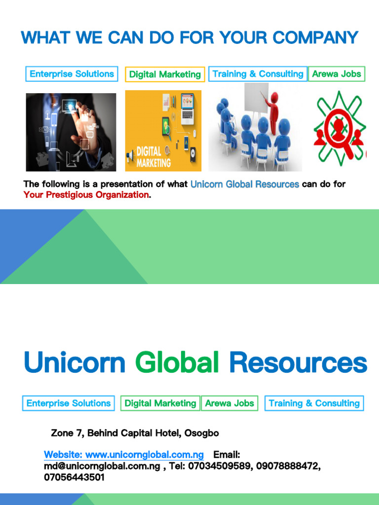 Abridged Profile of Unicorn Company | PDF