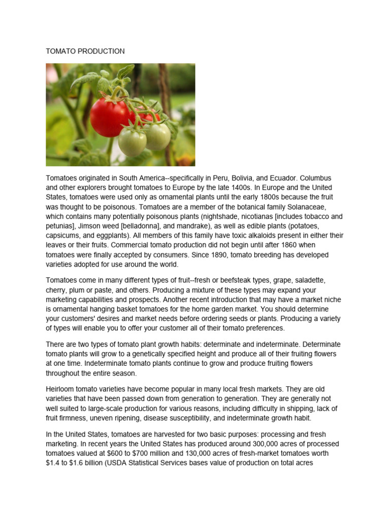 TOMATO Planting | Download Free PDF | Tomato | Vegetables