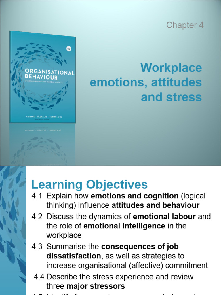 Ch04 - Workplace Emotions, Attitudes and Stress - Updated | PDF