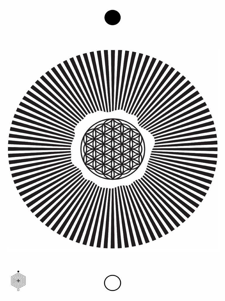 SOL DA VIDA Polarizado | PDF