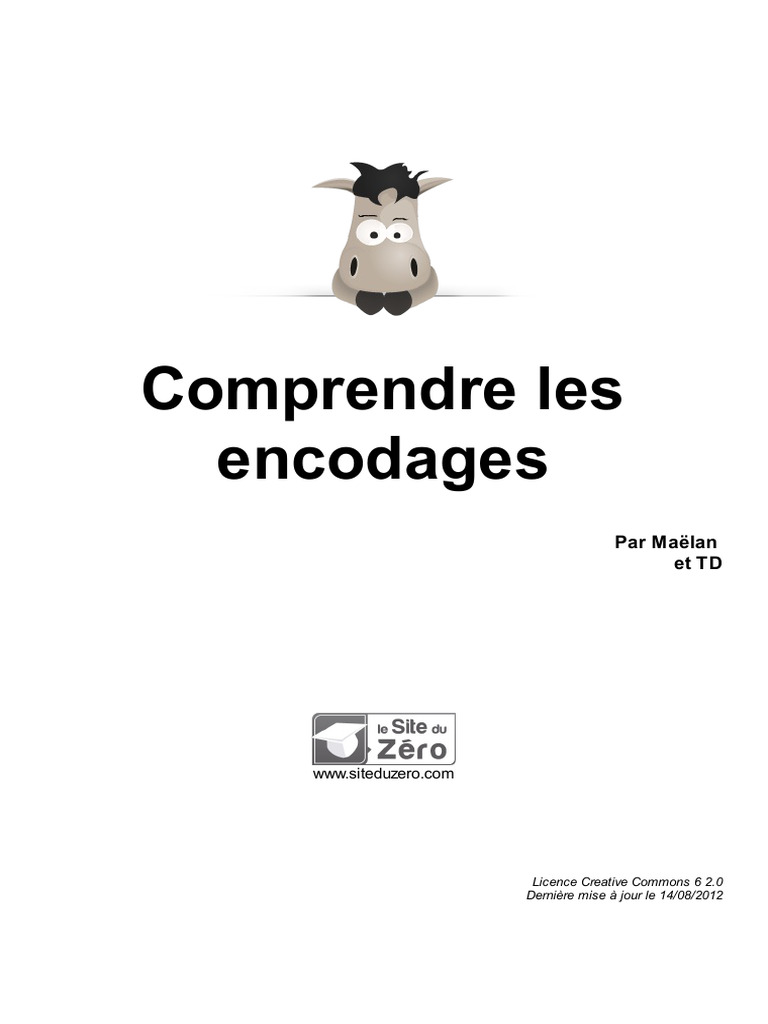 Comprendre Les Encodages | PDF