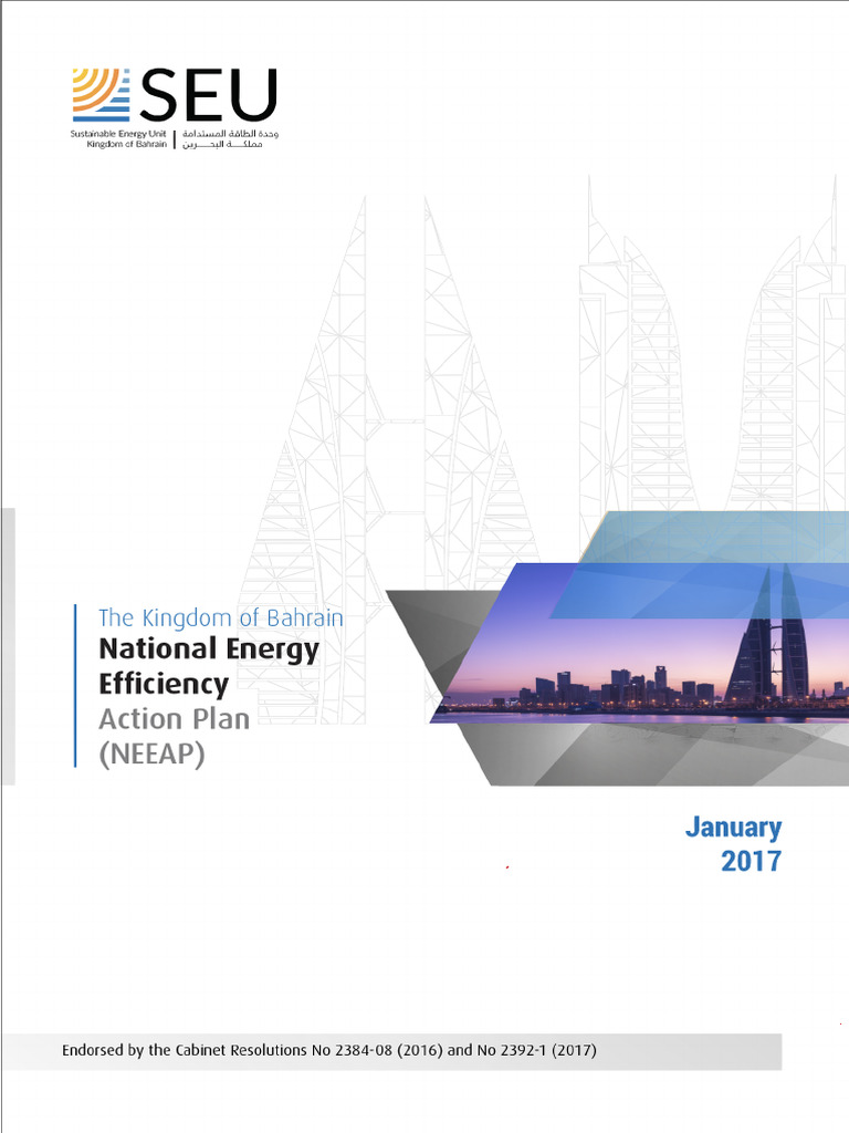 02 NEEAP Full-Report | PDF | Efficient Energy Use | Energy Conservation