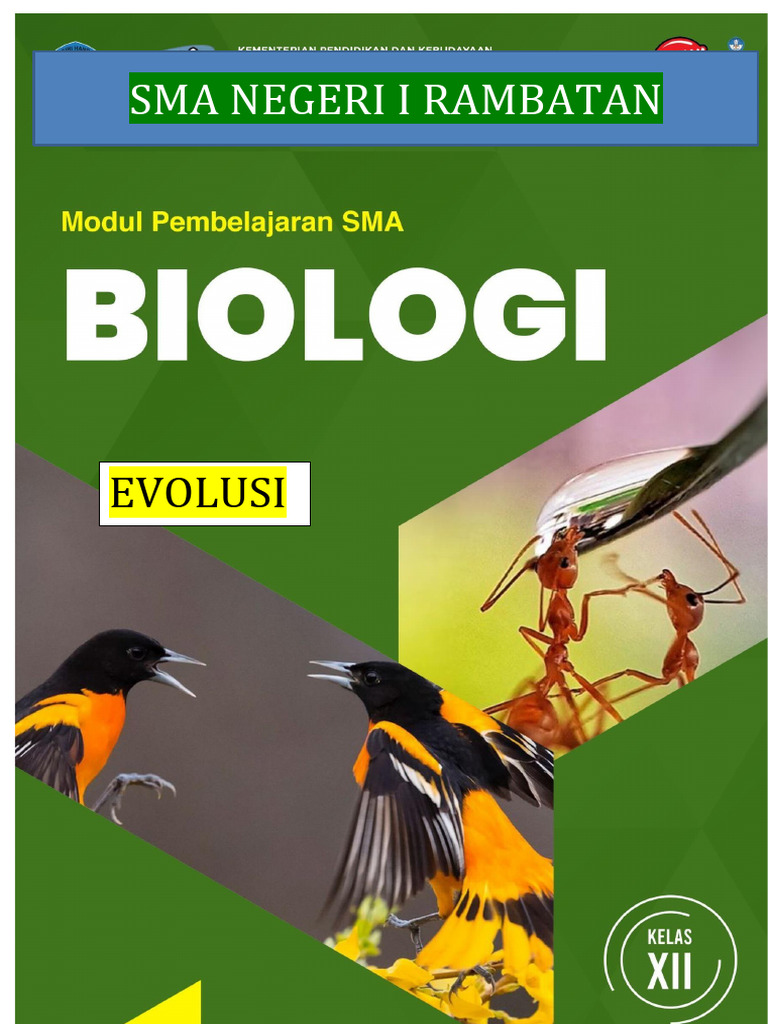 Asal Usul Kehidupan Menurut Redi | PDF