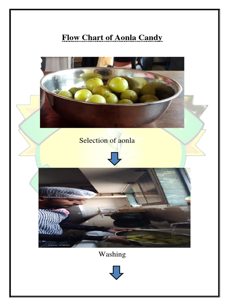 Aonla Candy Preparation Flow Chart | PDF