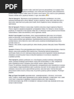 1 1 Anatomija Glave I Vrata | PDF