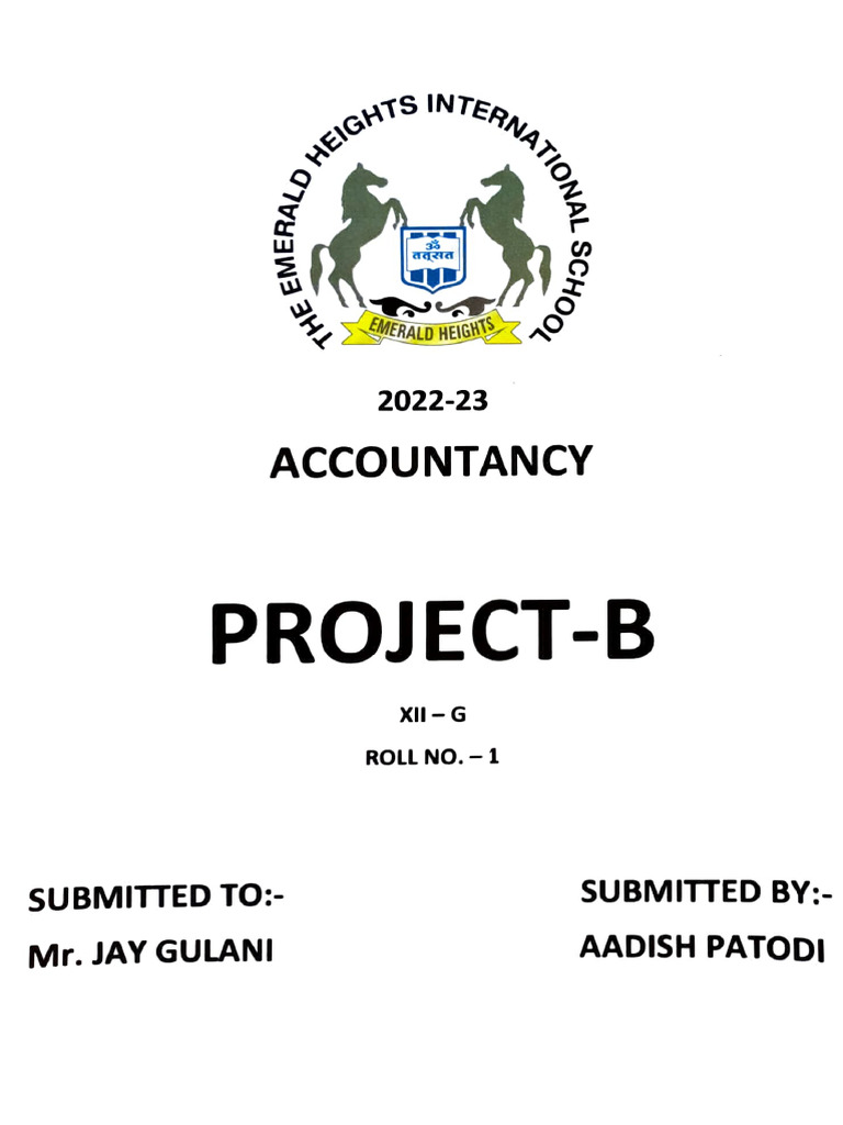 Class 11 Project Final | PDF