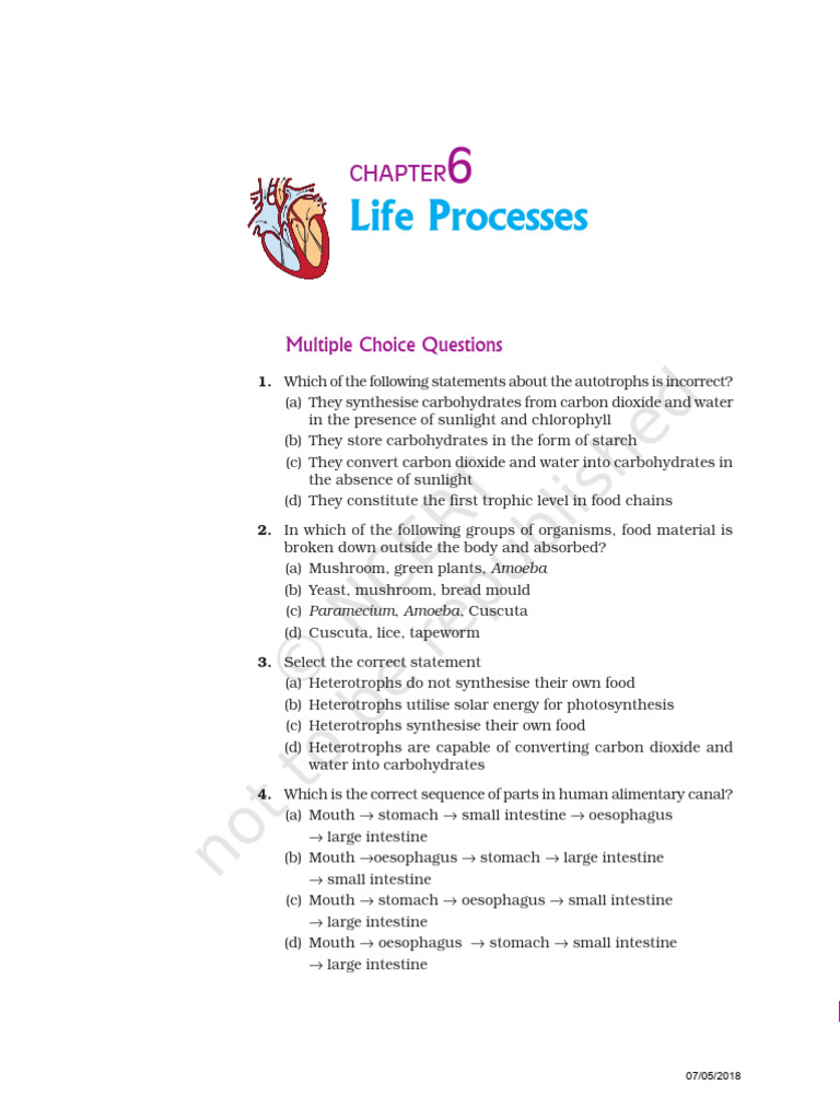 CHAP 6.pmd | PDF | Digestion | Heart