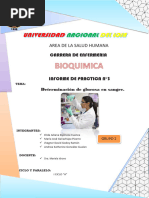 ¿Qué es el Dextrostix y su uso? | PDF