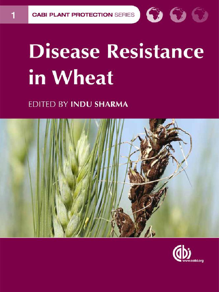 Disease Resistance in Wheat by Indu Sharma | PDF | Wheat | Plant Pathology