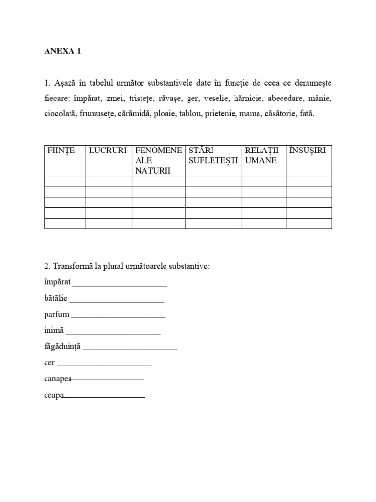 Anexe Substantiv Clasa A Vi A | PDF