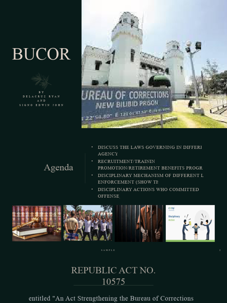 BUCOR | PDF | Finance & Money Management