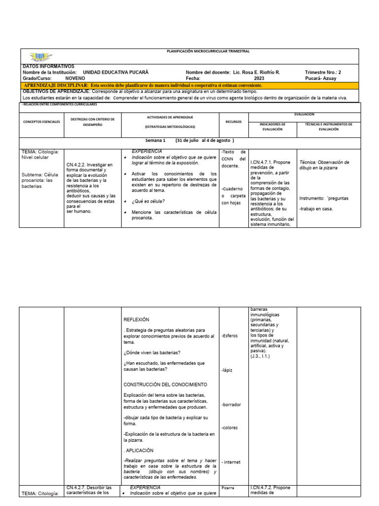 CCNN Noveno Segundo Trimestre | PDF
