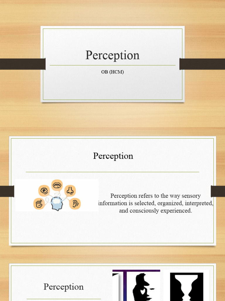 Perception | PDF | Perception | Experience