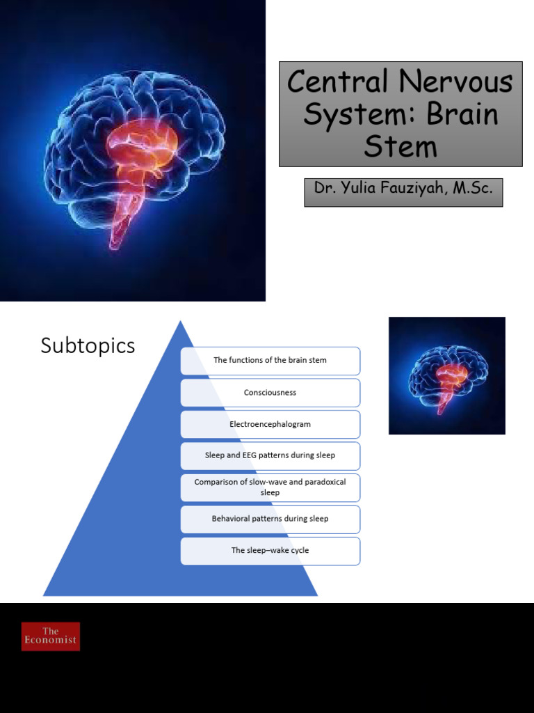 Httpselearning - Umsu.ac - Idpluginfile.php980009mod ...