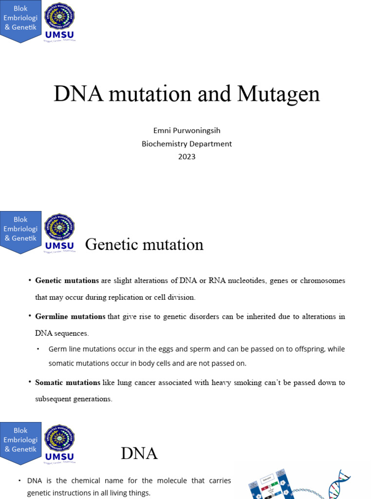 DNA Mutation and Mutagen 2023 | PDF | Dna | Genetics