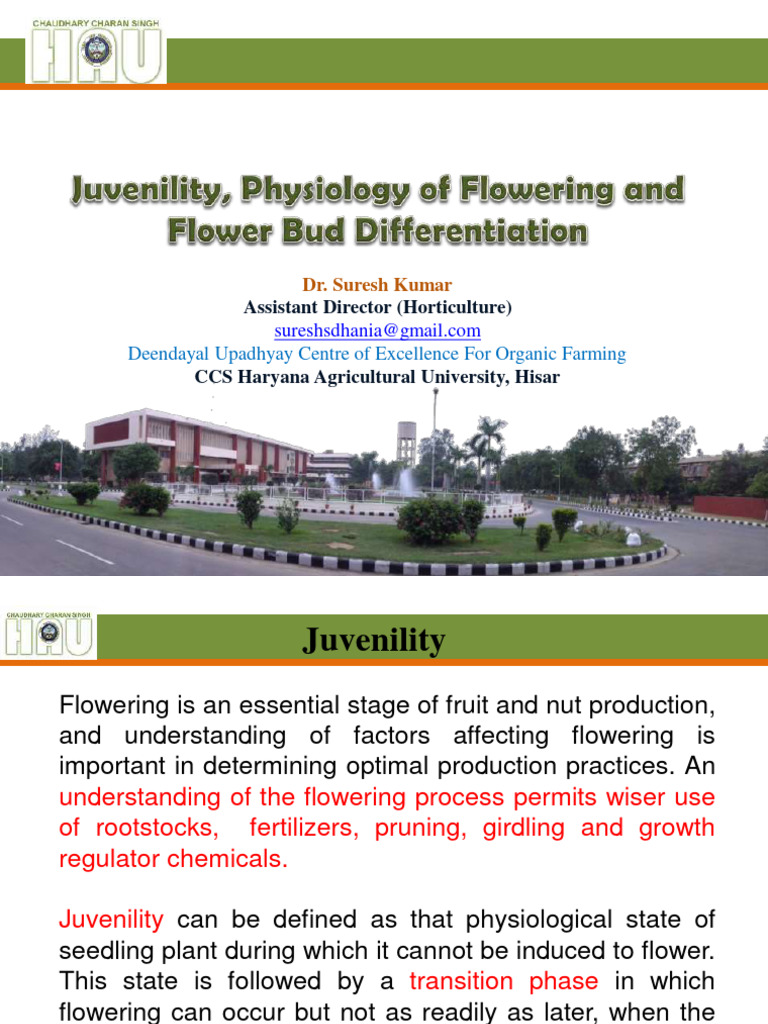 8 Juvenility, Physiology of Flowering and Flower Bud Differentiation ...