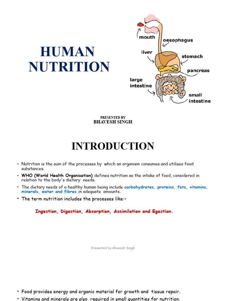 CH 14 Human Nutrition | PDF | Digestion | Tooth
