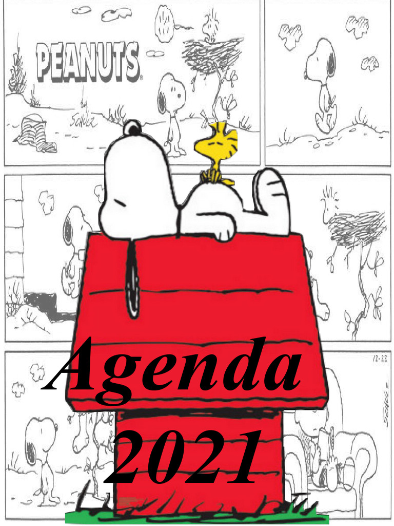 Agenda Snoopy | PDF | Unidades de medida | Tiempo espacial