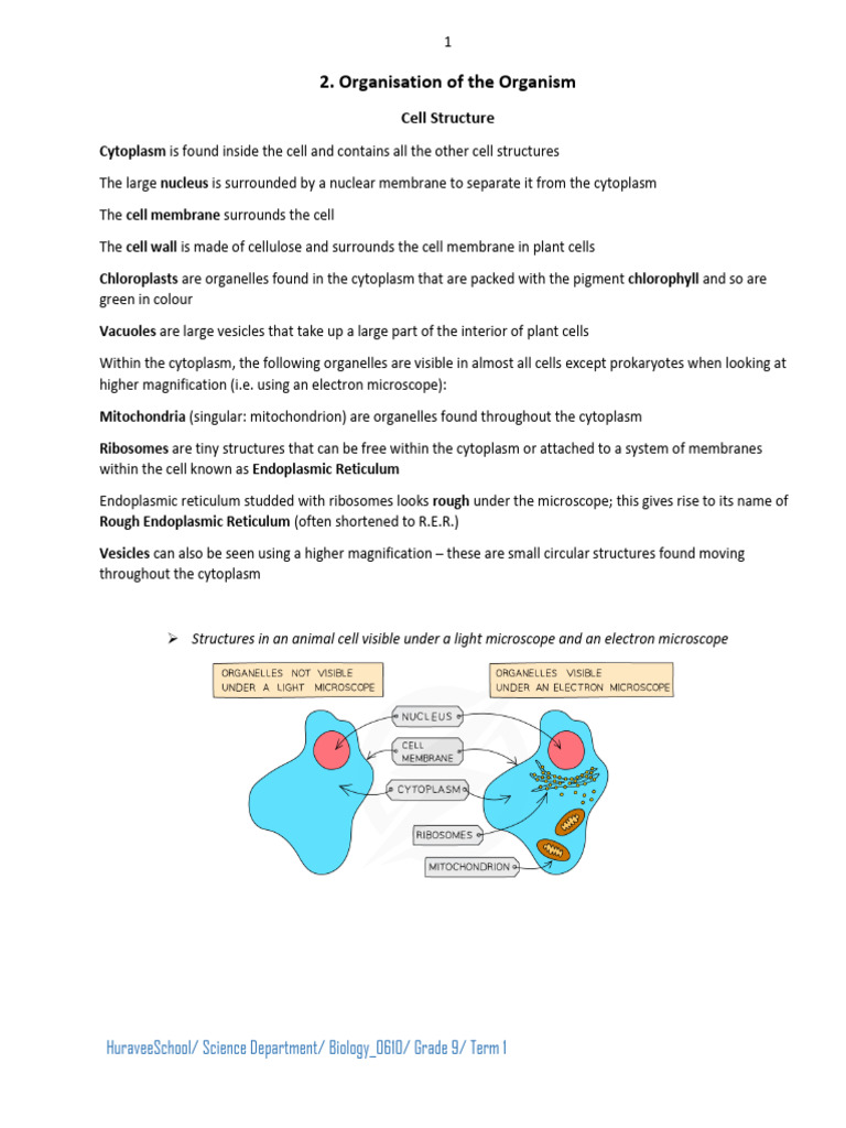 Grade 9 Biology: Cell Structure & Function | PDF | Cytoplasm | Cell ...
