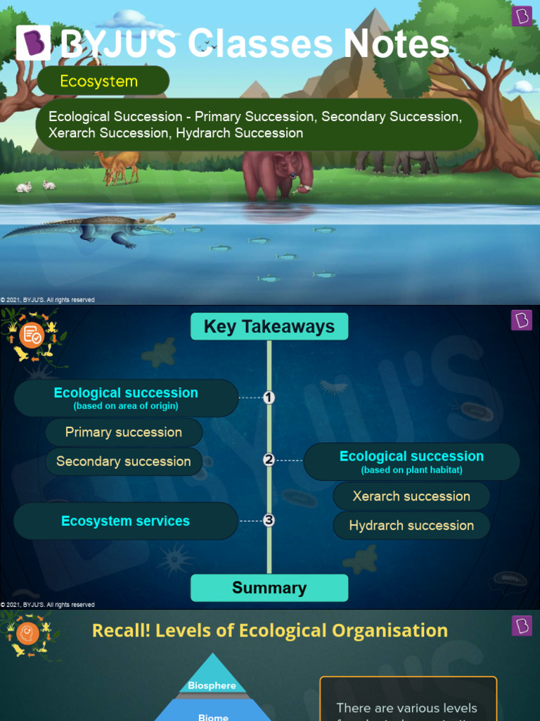 Ecological Succession. | PDF