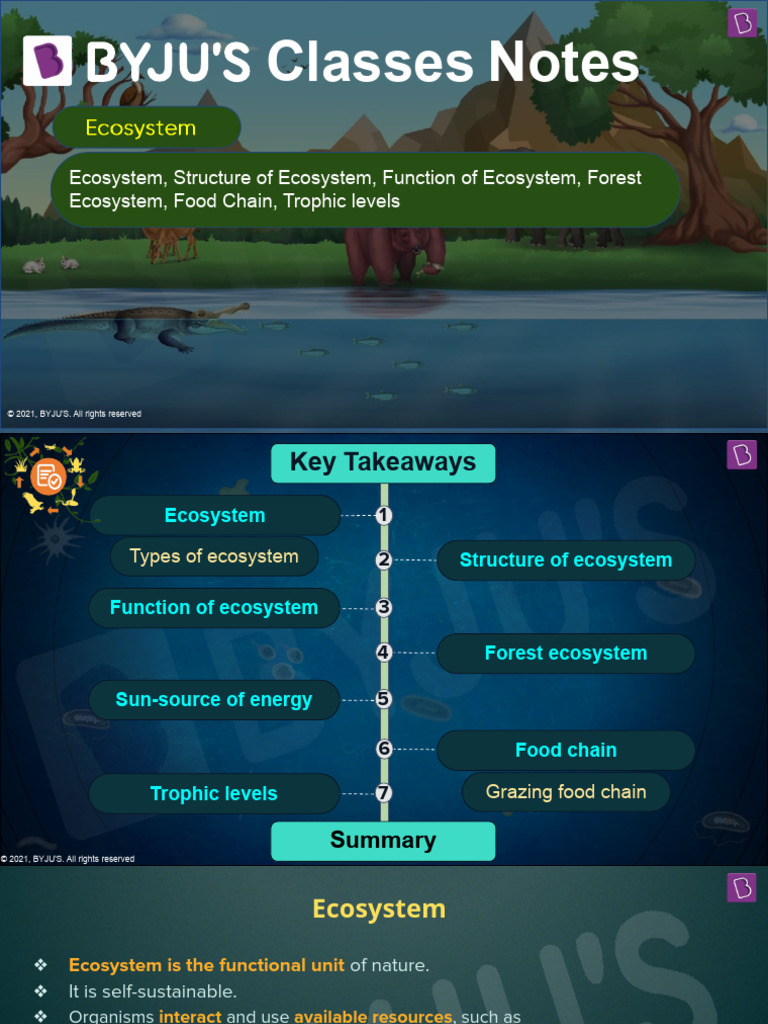 Introduction To Ecosystem | PDF | Ecosystem | Food Web