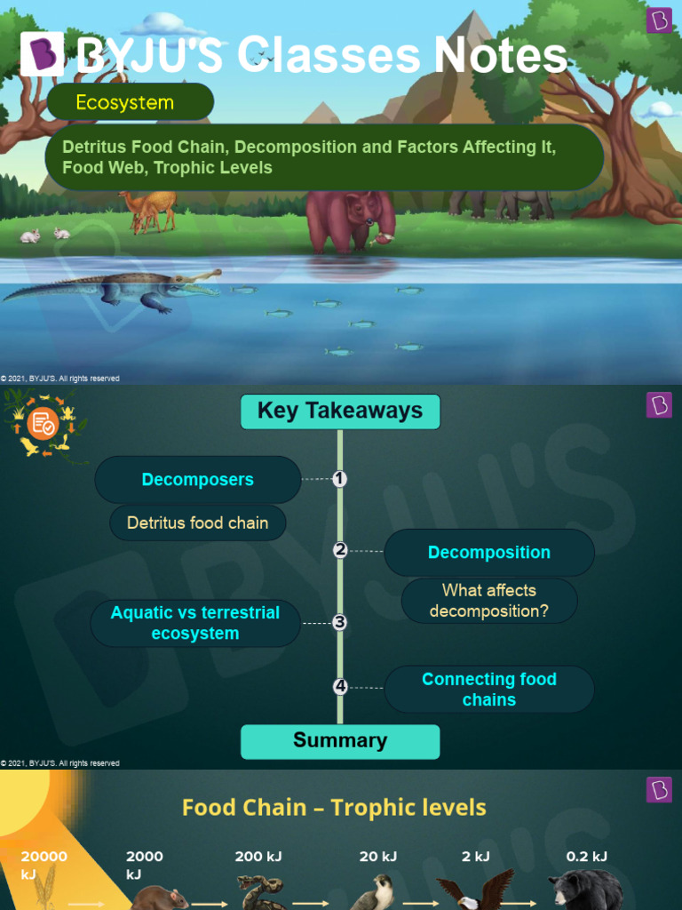 Components of Ecosystem - Part 1. | PDF | Decomposition | Food Web