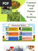 Introduction To Animal Production | PDF | Livestock | Poultry Farming