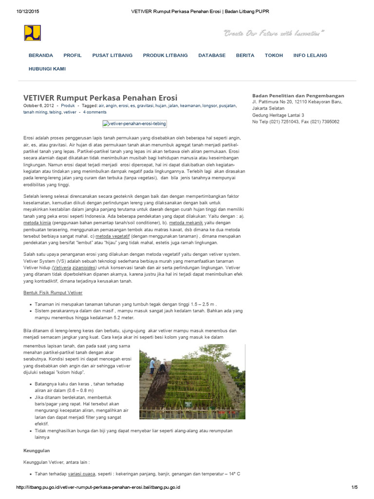 VETIVER Rumput Perkasa Penahan Erosi - Badan Litbang PUPR | PDF ...