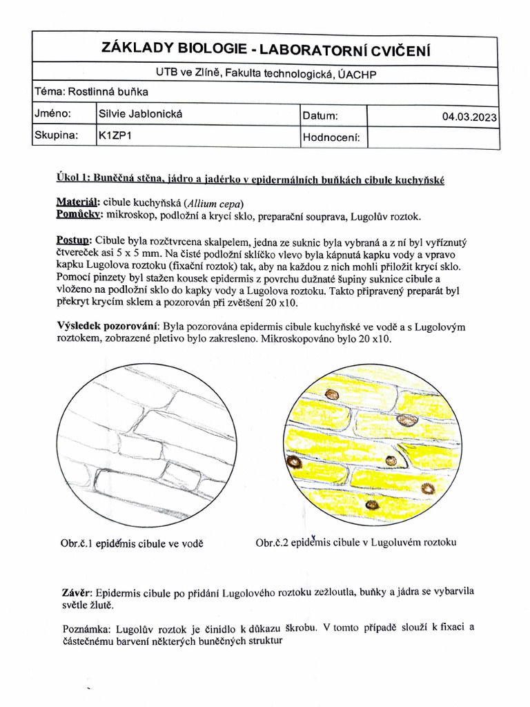 Rostlinna Bunka | PDF