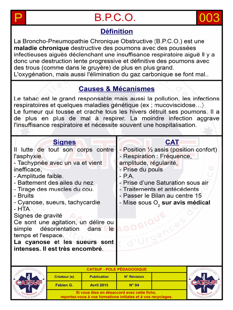 Bpco - Cat | PDF